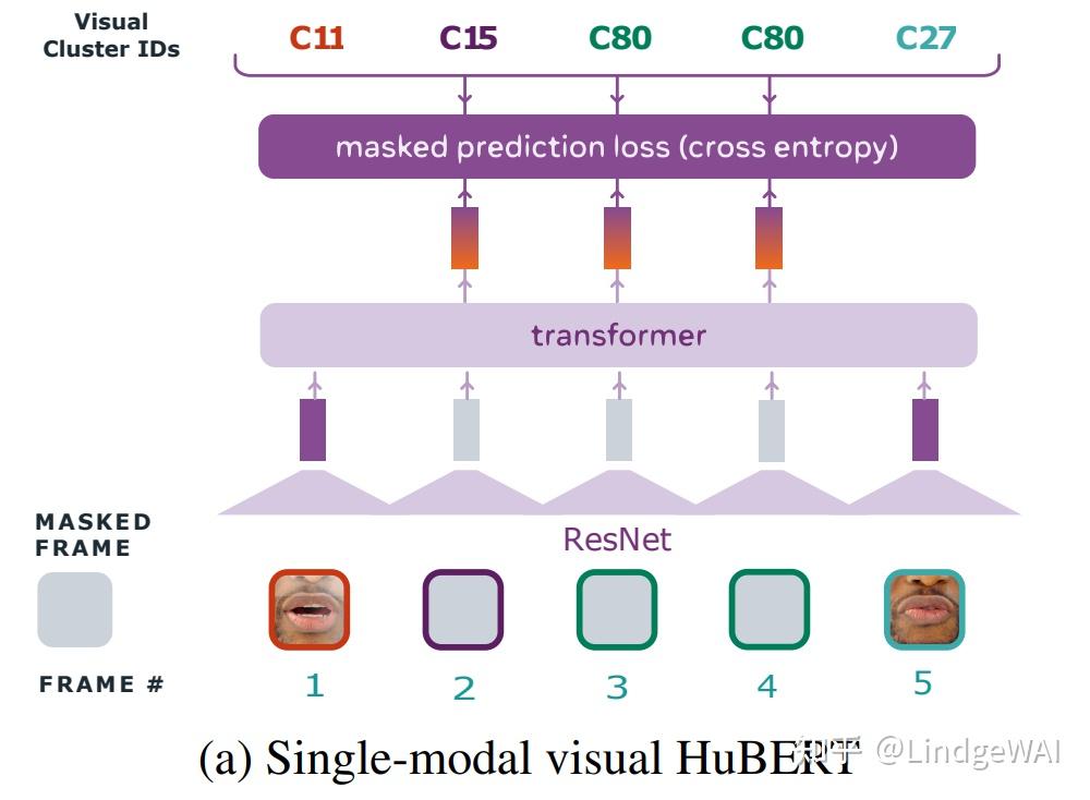 AV-HuBERT for AVSR - 知乎