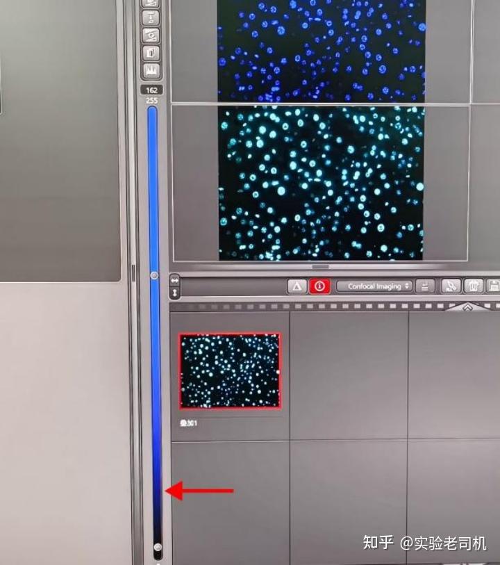 手把手教学——Leica DM6B正置双目生物显微镜操作步骤 - 知乎