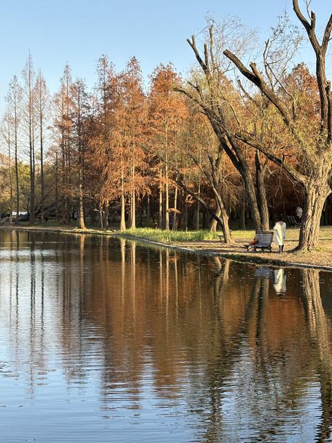 BUUCTF-RE-rsa - 知乎