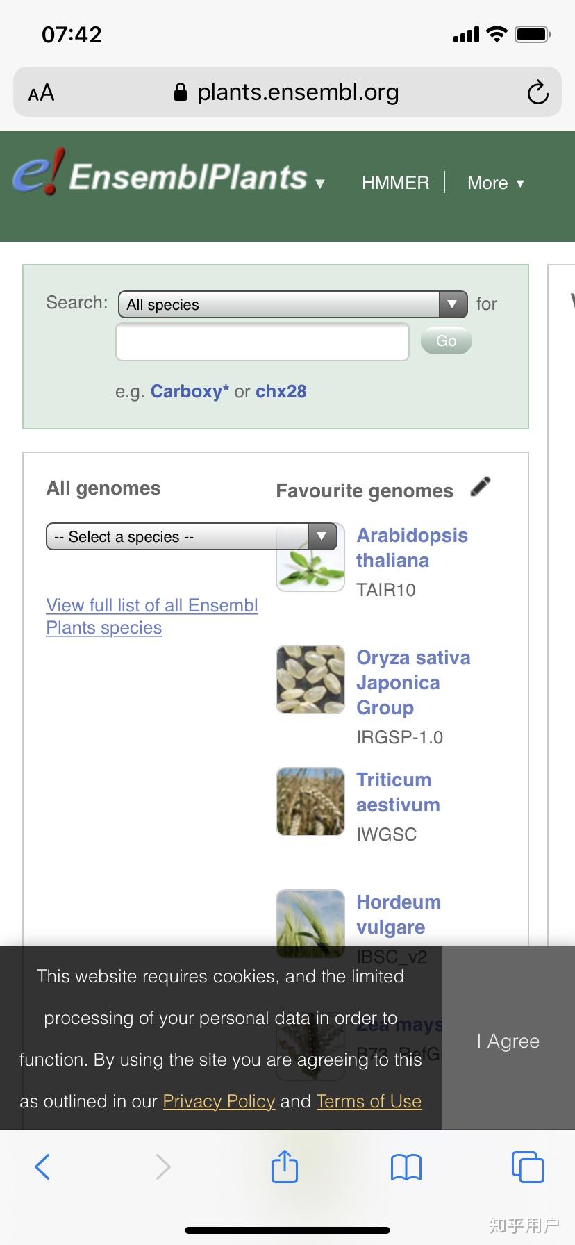 求助，怎么从ncbi下载该物种所有的cds序列。基因组序列和蛋白质和GFF都找到了就是找不见cds? - 知乎