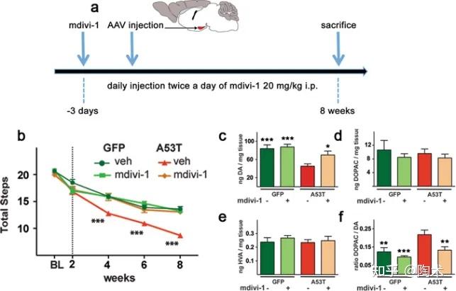 线粒体分裂抑制剂——Mdivi-1【TargetMol】 - 知乎