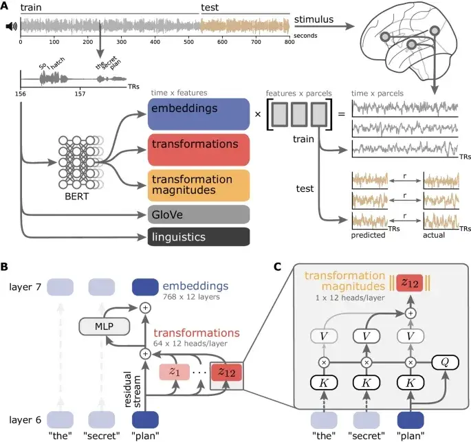 大脑如何处理语言？普林斯顿团队对Transformer模型进行分析 - 知乎