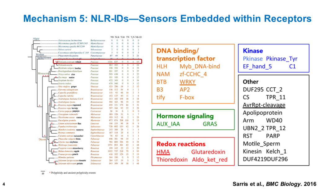 Essays Biochem | 植物中含有整合结构域ID的NLR（NLR-ID）作用模式综述 - 知乎