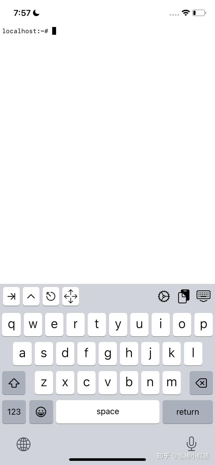 IOS上最好用的Linux终端仿真软件：ish 从入门到精通深度剖析 - 知乎