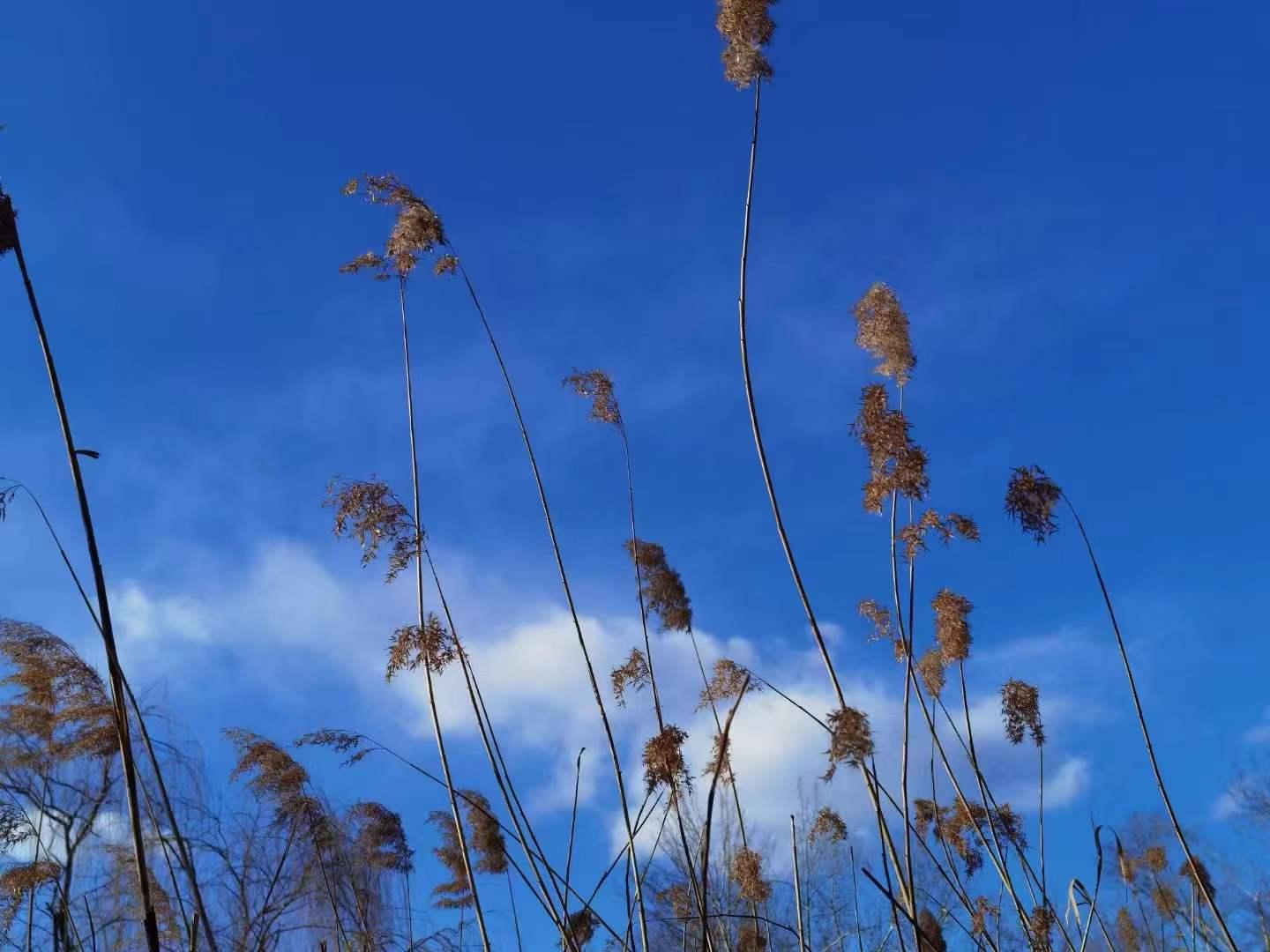 CATTI和MTI每日一译Day684 - 知乎