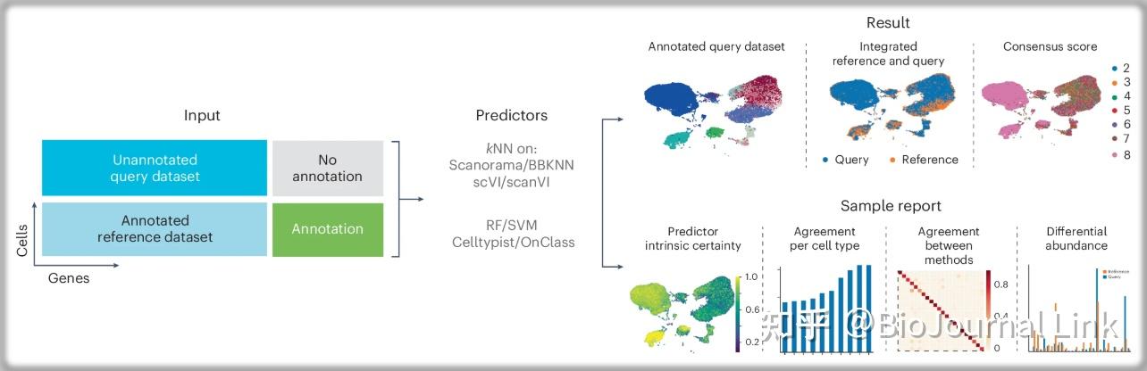 生信程序 | NatGenet | 使用 popV 在单细胞数据中进行细胞类型标签的共识预测 - 知乎
