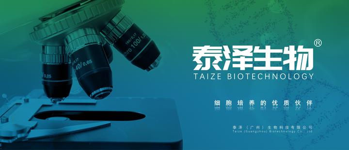 细胞进阶讲解—A431 - 知乎