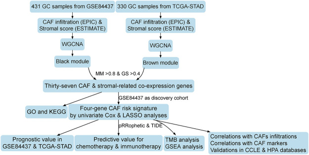 最新思路——巧用WGCNA分析GEO和TCGA数据，文章轻松上5分 - 知乎
