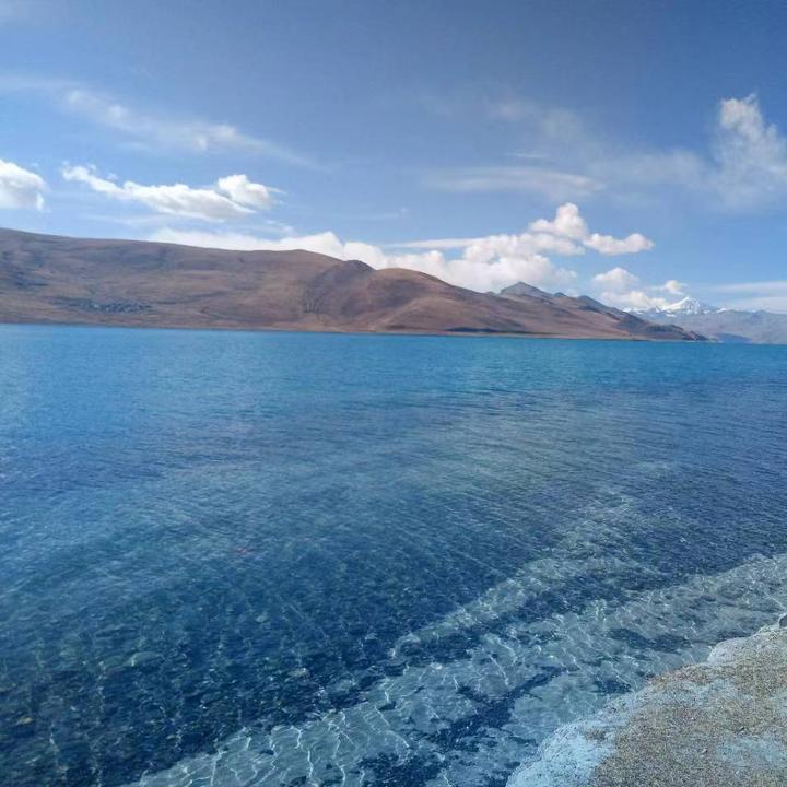 心理学中IPI、APA、IAAP、IAPSP、IPA、CAPA、APsaA.....这些简称是什么？ - 知乎