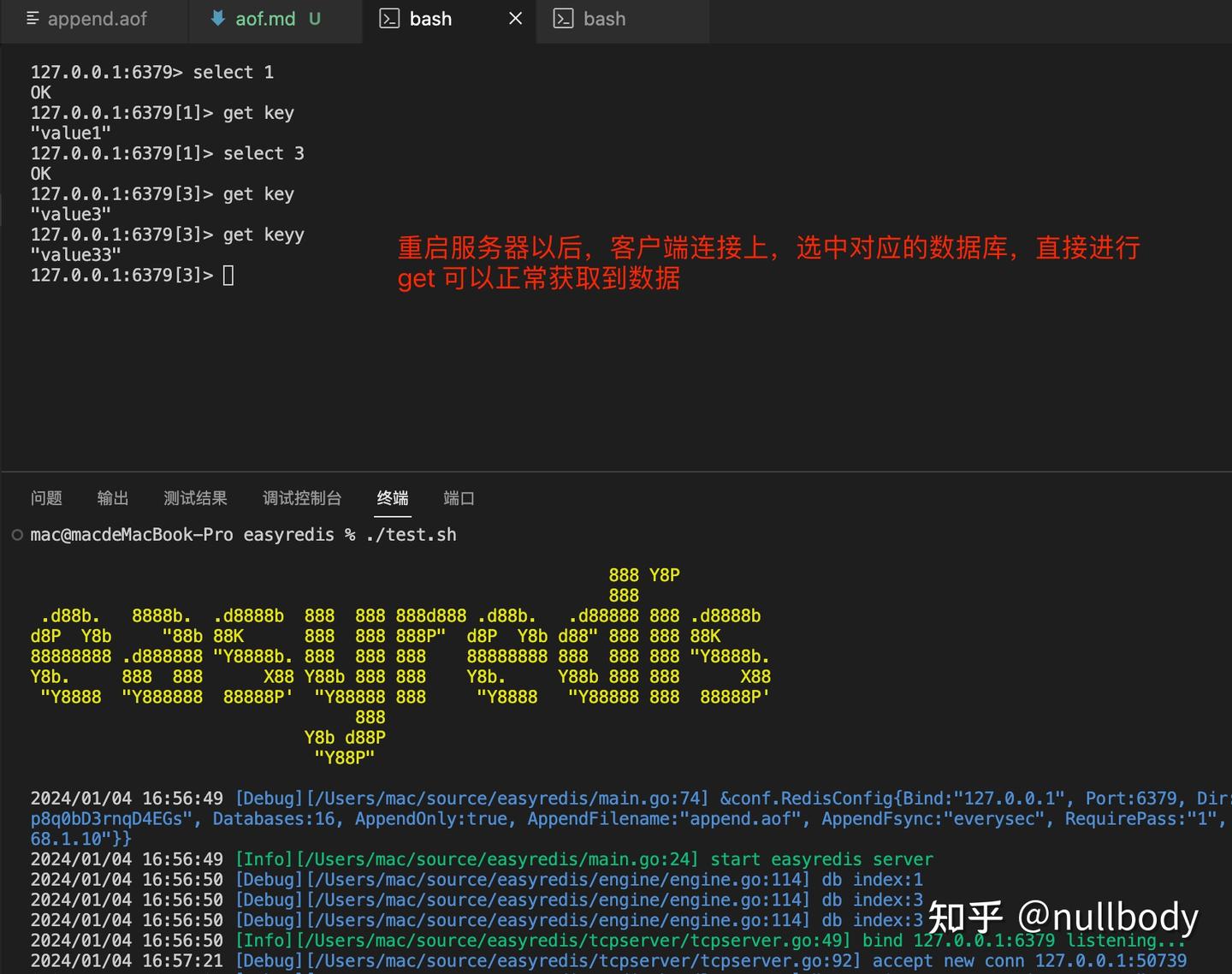 Golang实现自己的Redis(持久化AOF) - 知乎