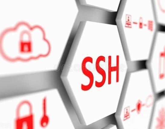 带你一步步使用 Golang 实现 SSH 客户端 - 知乎