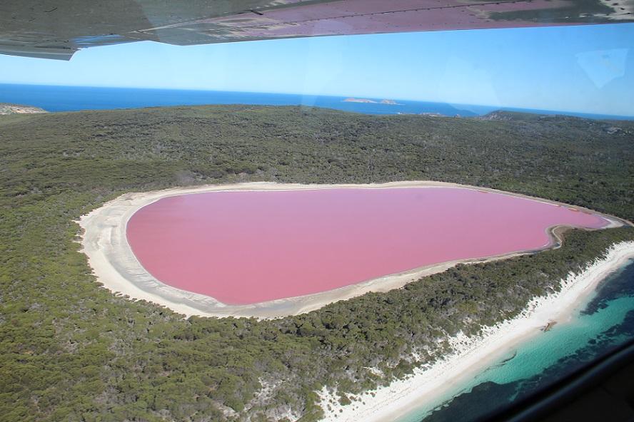西澳大利亚的粉红回忆——“南粉湖”希利尔湖Like Hillier - 知乎