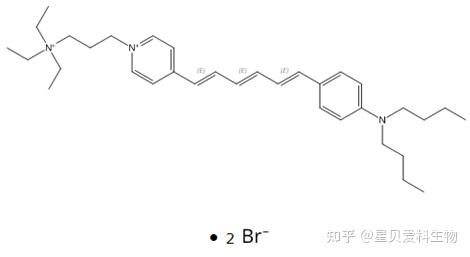 FM 4-64，cas：1239946-52-1（细胞膜和神经元荧光成像染料） - 知乎