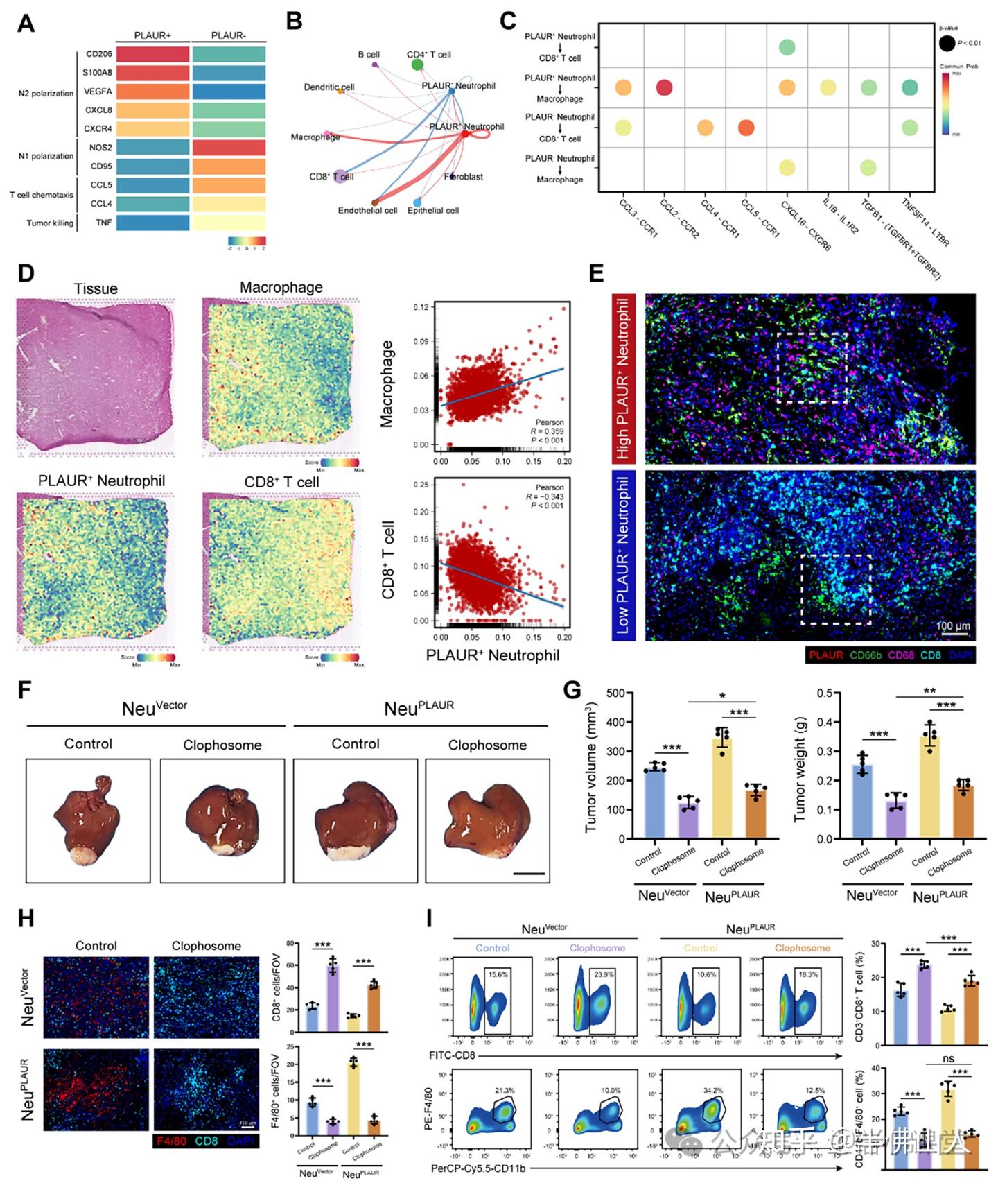 最新14+生信，单细胞识别PLAUR+中性粒细胞塑造免疫抑制微环境，抑制PLAUR 增强抗 PD1 疗效。高分文章经典思路！ - 知乎