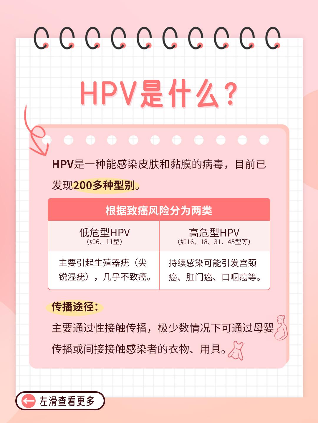 HPV与宫颈癌：从感染到预防的全面解析 - 知乎
