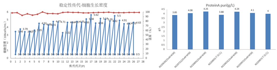 CHO-K1BN细胞株助力抗体药物开发 - 知乎