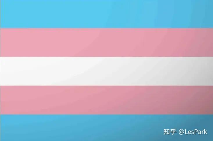 LGBT骄傲月|旗帜竟然有这么多种？你认识几种？ - 知乎
