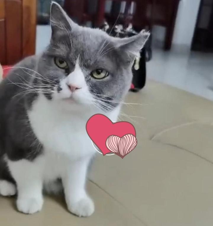 语义分割 注意力机制 3 知乎