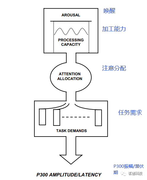 经典再读 | P3a与P3b的整合理论 - 知乎