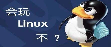 带你全面认识 Linux - 知乎