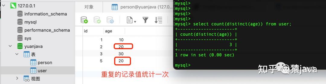 深度剖析：MySQL count() 函数，这下彻底明白了！ - 知乎