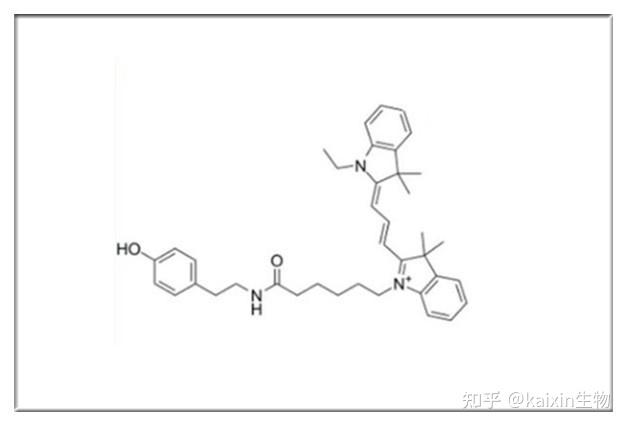 174961-75-2,Cyanine5 TSA,Cy5 Tyramide,花青素Cy5酪酰胺 - 知乎