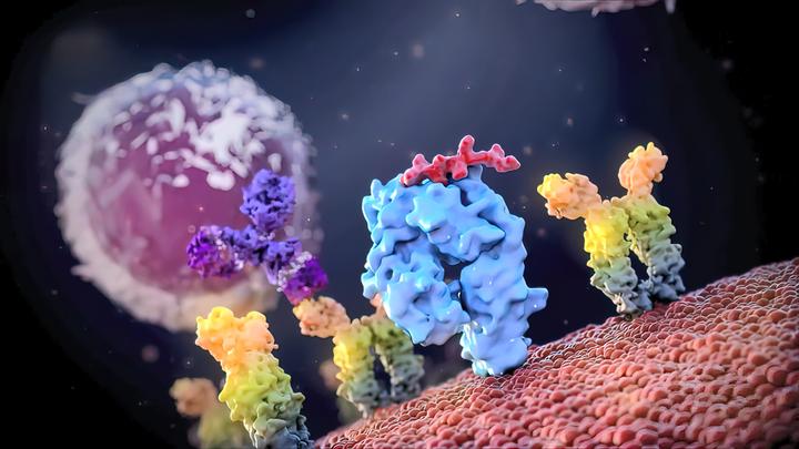 Atacicept（阿塞西普）深度分析：专利、文献与序列数据的全面解读 - 知乎