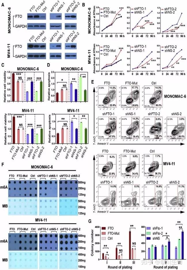 手把手教你如何开展m6A实验（医学版）| m6A专题 - 知乎