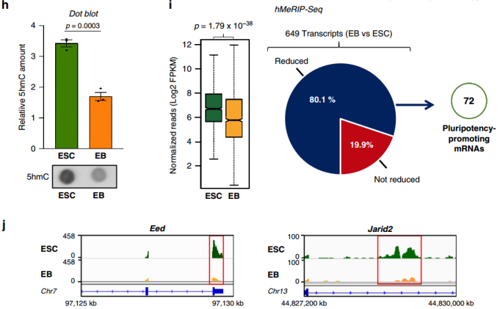 -seq：开启5hmC修饰研究的“新纪元” - 知乎