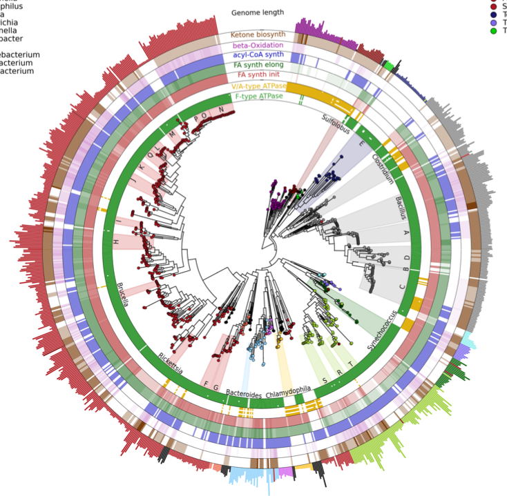 Python科研统计作图Plotnine+Seaborn+matplotlib替代R ggplot2系列！（一） - 知乎