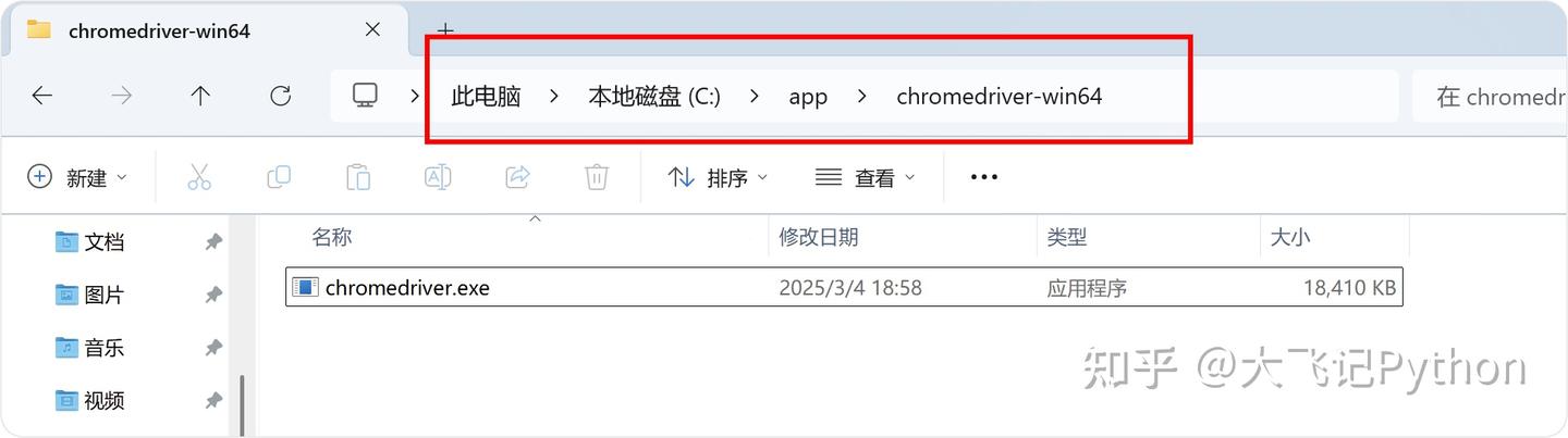 Selenium自动化测试：手把手教你配置Chrome Driver（Win/Mac双平台） - 知乎