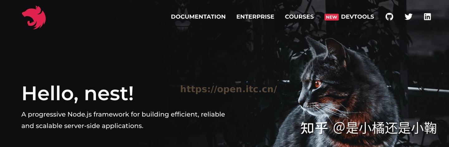 10个优秀的Github开源项目👀 - 知乎