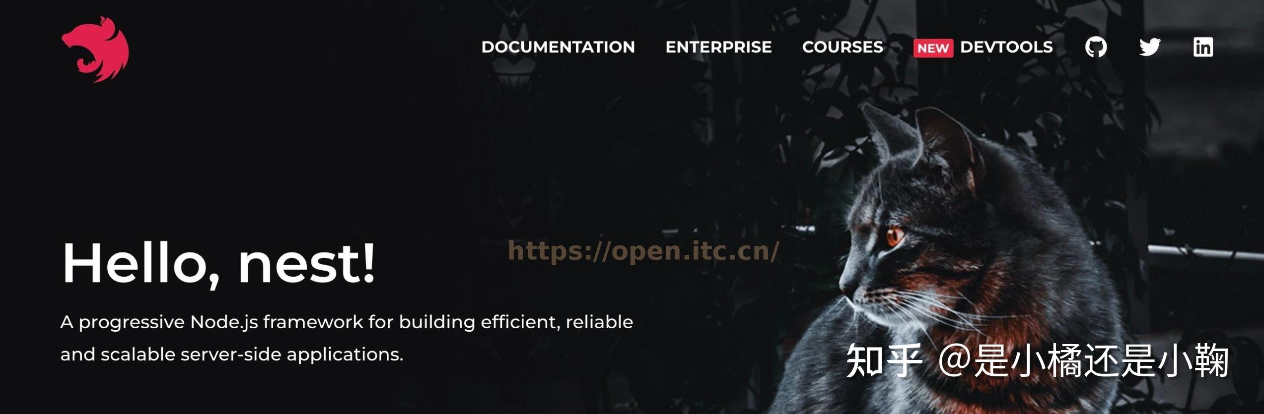 10个优秀的Github开源项目👀 - 知乎