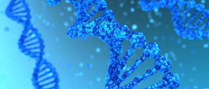 癌症免疫疗法“新CP”！PD-1联合IL-2，可打破肿瘤免疫抵抗 - 知乎