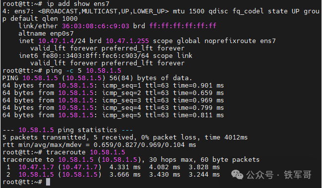 Docker + VPP强强联合：在Docker容器中玩转高性能VPP路由！ - 知乎