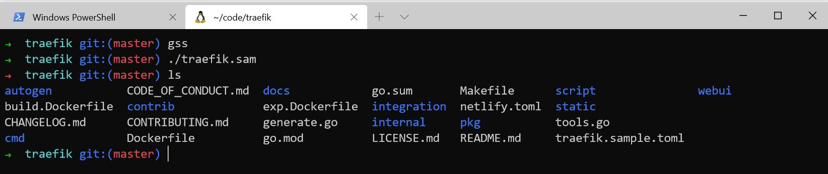 在Windows 10下使用WSL2 + Docker + Terminal + VS Code开发 - 知乎