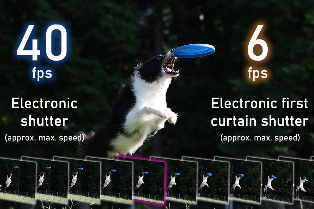 纯拍照 微单佳能 r8 r62选哪个? - 知乎