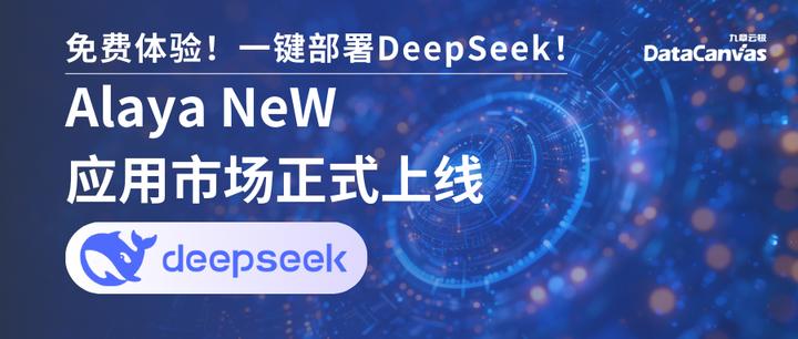免费体验，一键部署！Alaya NeW应用市场正式上线DeepSeek系列模型 - 知乎