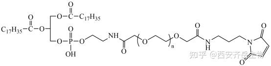 DSPE-PEG-Maleimide，DSPE-PEG-MAL，磷脂聚乙二醇马来酰亚胺科普 - 知乎