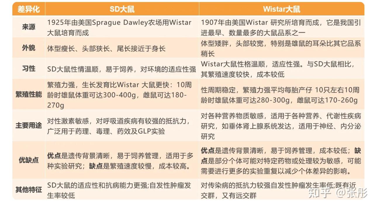 SD大鼠百科资料超全｜SD大鼠特征、应用、饲养 - 知乎