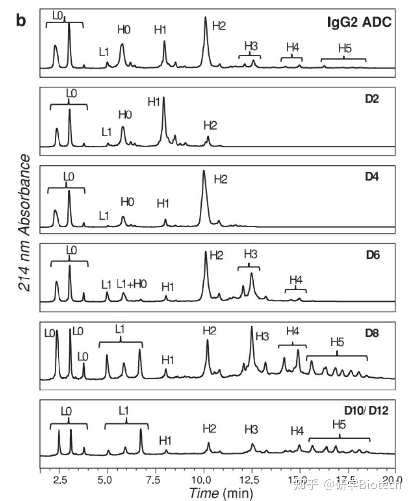 半胱氨酸偶联的IgG1/ IgG2抗体偶联药物(ADC)表征对比分析 - 知乎