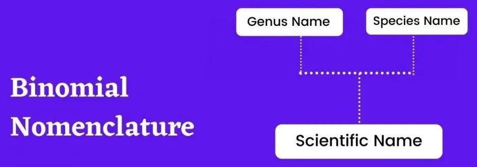 细菌基因组基本概念(一) - 知乎
