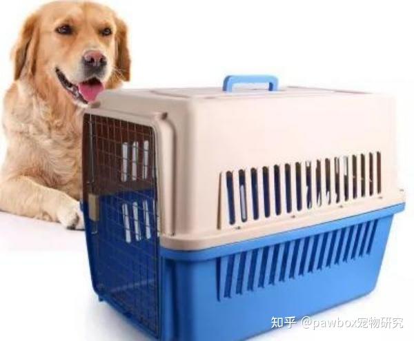 如何快递运输狗狗及运输宠物时的注意事项 - 知乎