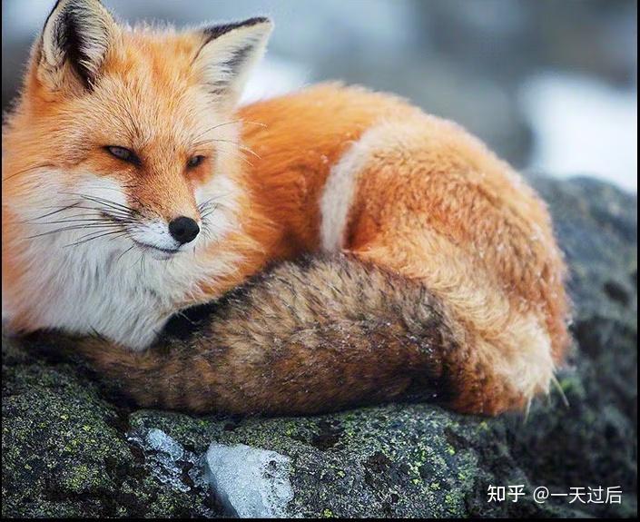 电视索尼x91k和x85k哪个好，对比见区别 - 知乎