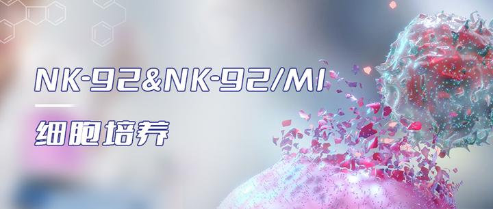 赛库细胞学堂|NK-92&NK-92/MI细胞培养 - 知乎