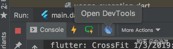 Flutter开发之Dart DevTools - 知乎