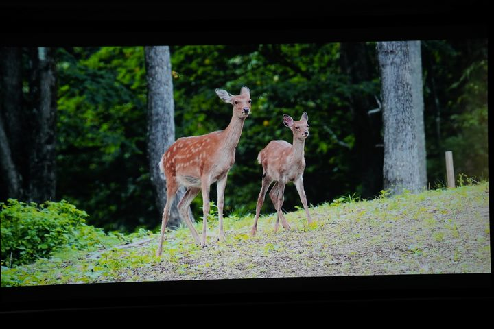 极米RS Pro2获京东双十一投影预售榜4K机型No.1 - 知乎