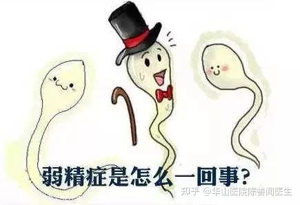 得了弱精子症别着急，看这篇文章就清楚了 - 知乎
