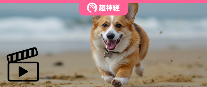 ComfyUI DynamiCrafter教程｜颠覆AI视频生成！分分钟实现图转视频，细节也能完美调整 - 知乎