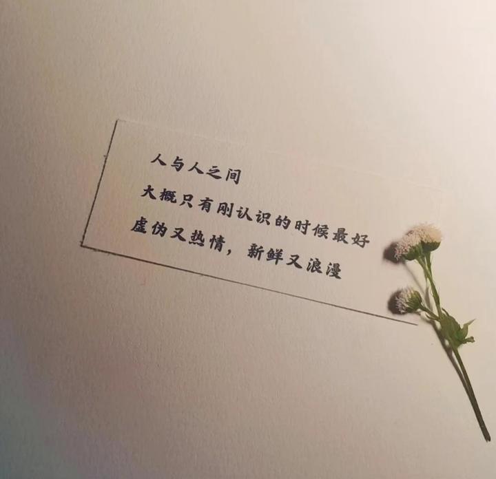 文案:适合发朋友圈的高级短句 知乎